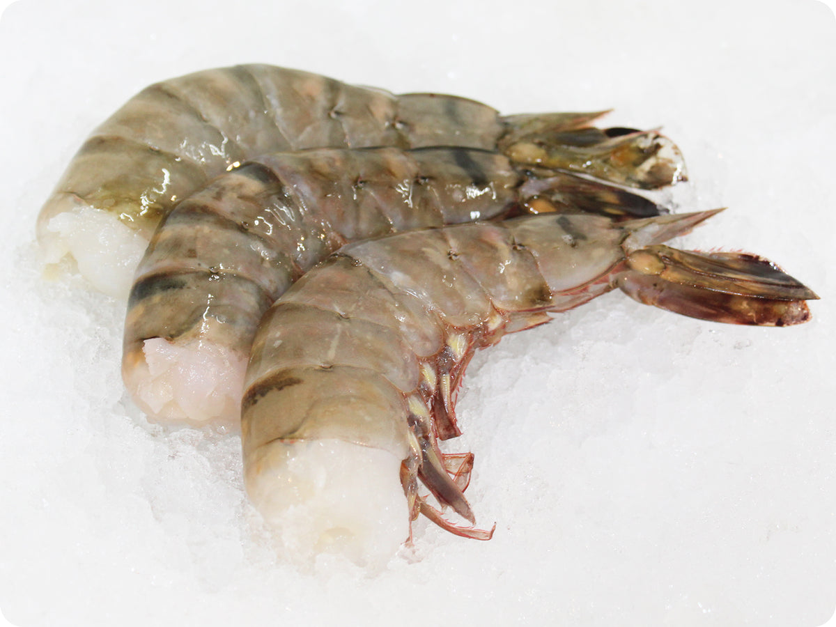 Colossal Black Tiger Prawns (4-6 ct./Lb.) – Epicurean Seafood