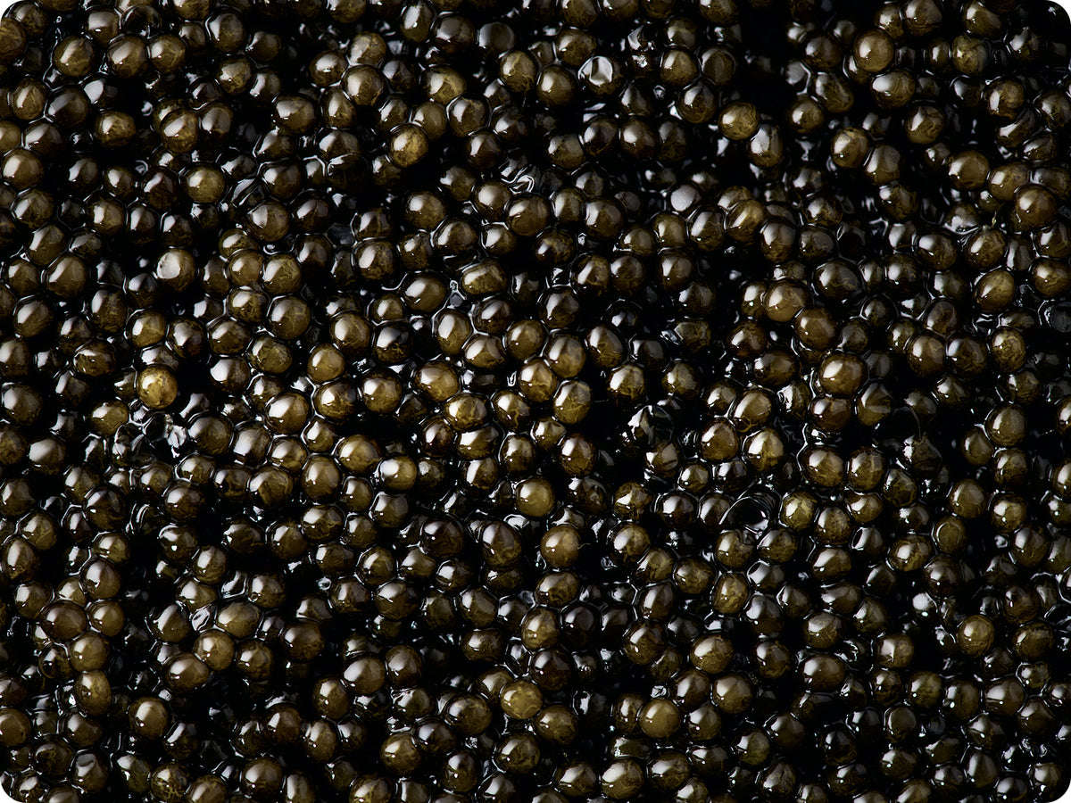 Osetra Caviar (Aquaculture, USA) by the ounce – Epicurean Seafood
