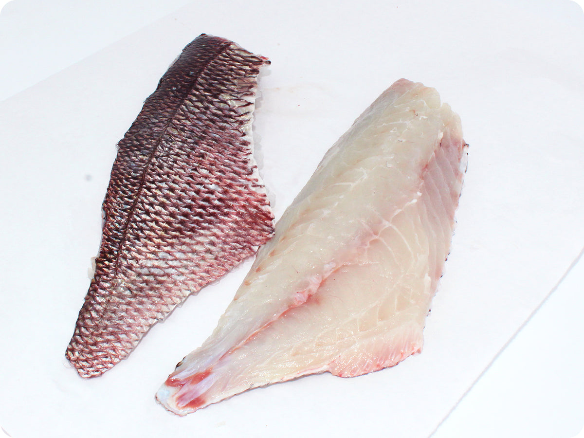 Queen Snapper Fillet